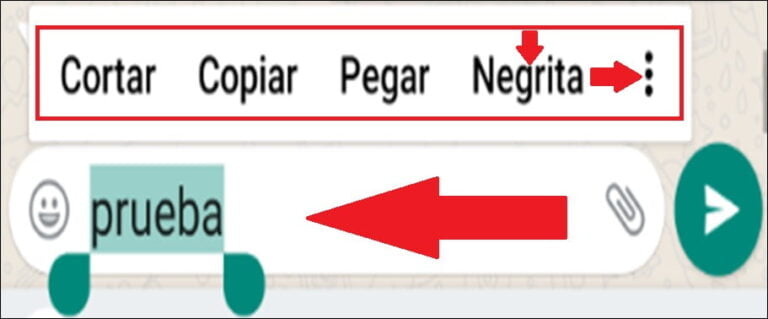 ¿Cómo poner negritas o formatos de texto en WhatsApp? PASO A PASO 【2021】